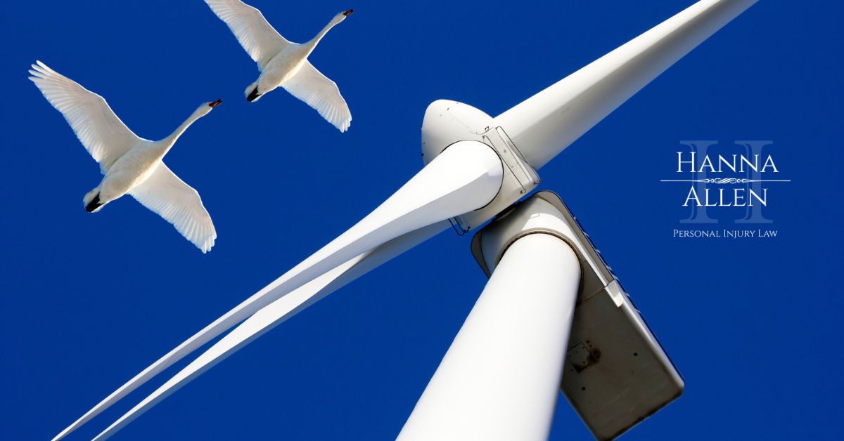 What Are Wind Farm Accidents?